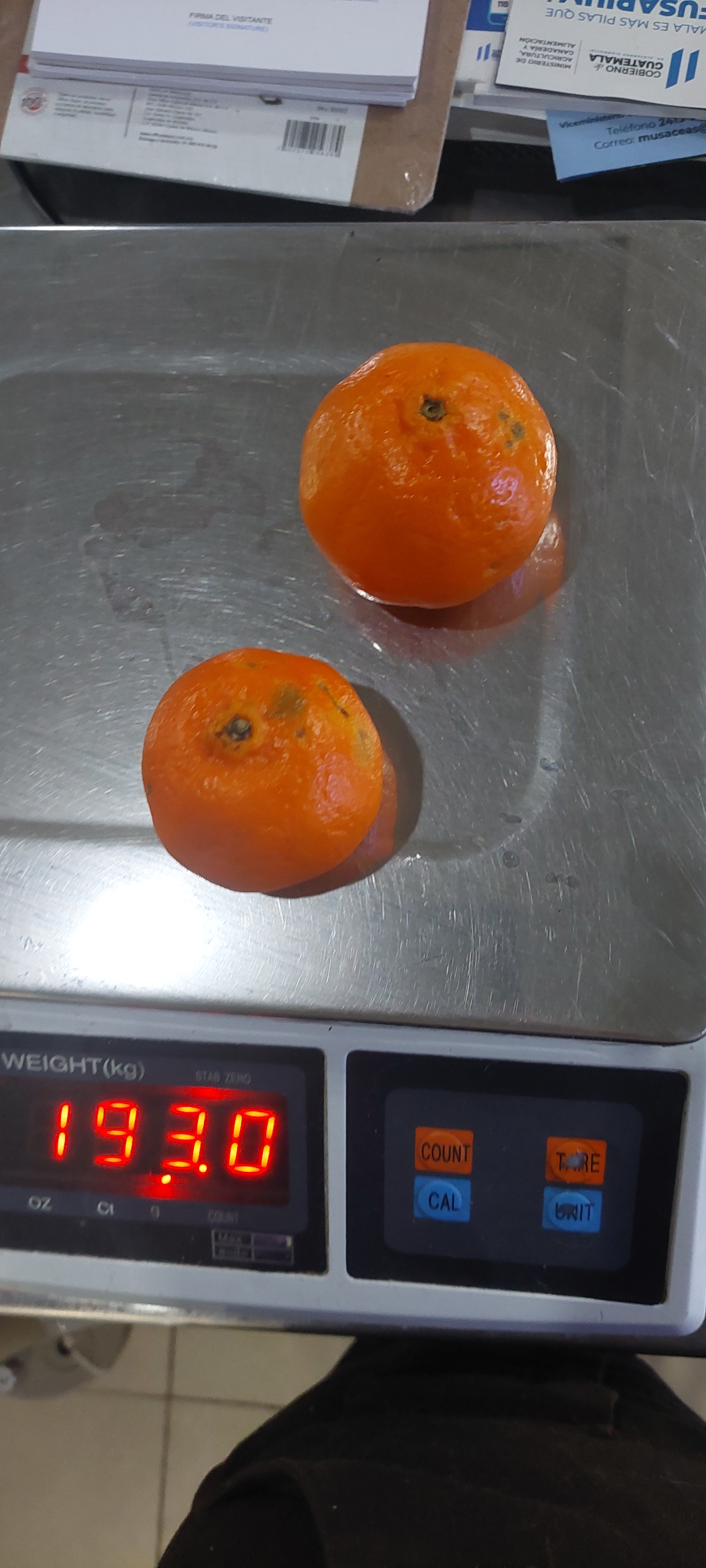 BOLETA INSPECCION GENERAL