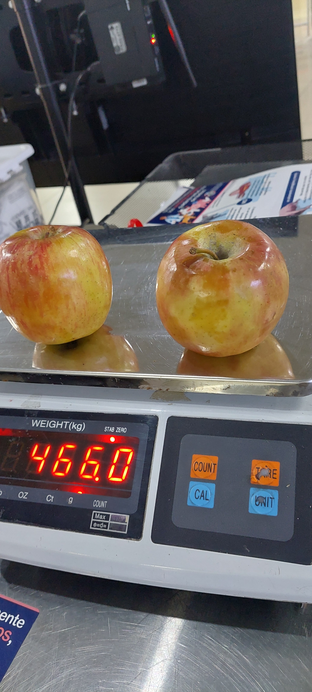 BOLETA INSPECCION GENERAL