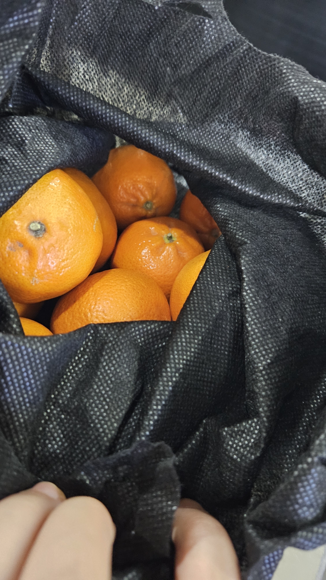 BOLETA INSPECCION GENERAL